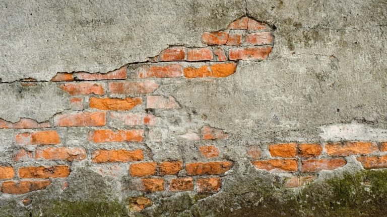 Structural Wall Repair Service-What Should You Need to Know ...